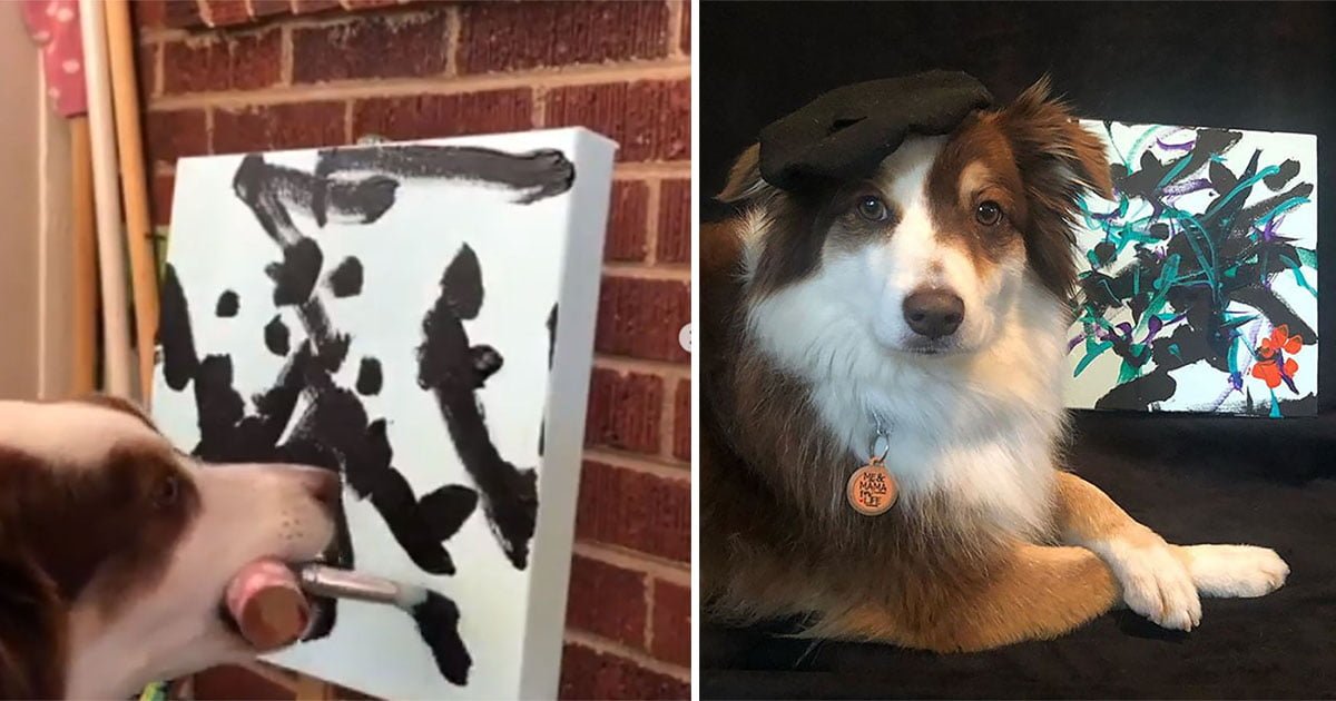 Perro Pintor Vende Sus Cuadros Y Dona El Dinero A Caridad